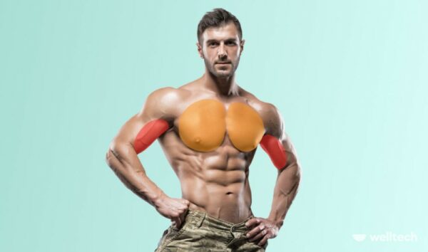 Discover the Time-Saving, Result-Boosting Power of Chest and Biceps ...