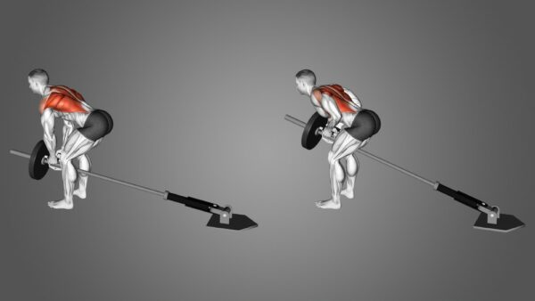 "I Never Felt My Lats Work Like This Before": Exploring Advanced Lat ...