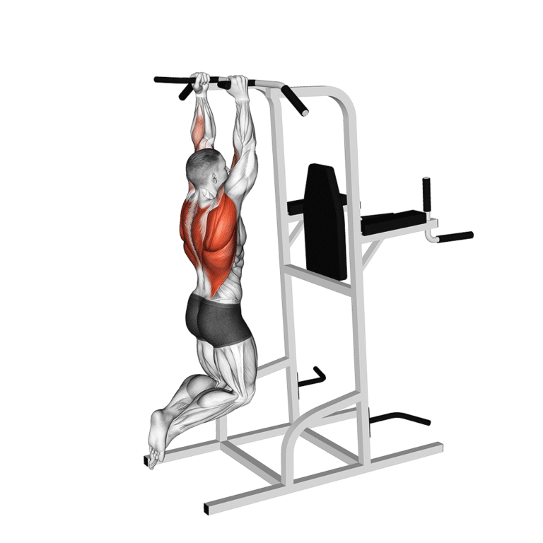 Maximize Your Pull Ups: A Deep Dive into the Main Muscles Worked for ...