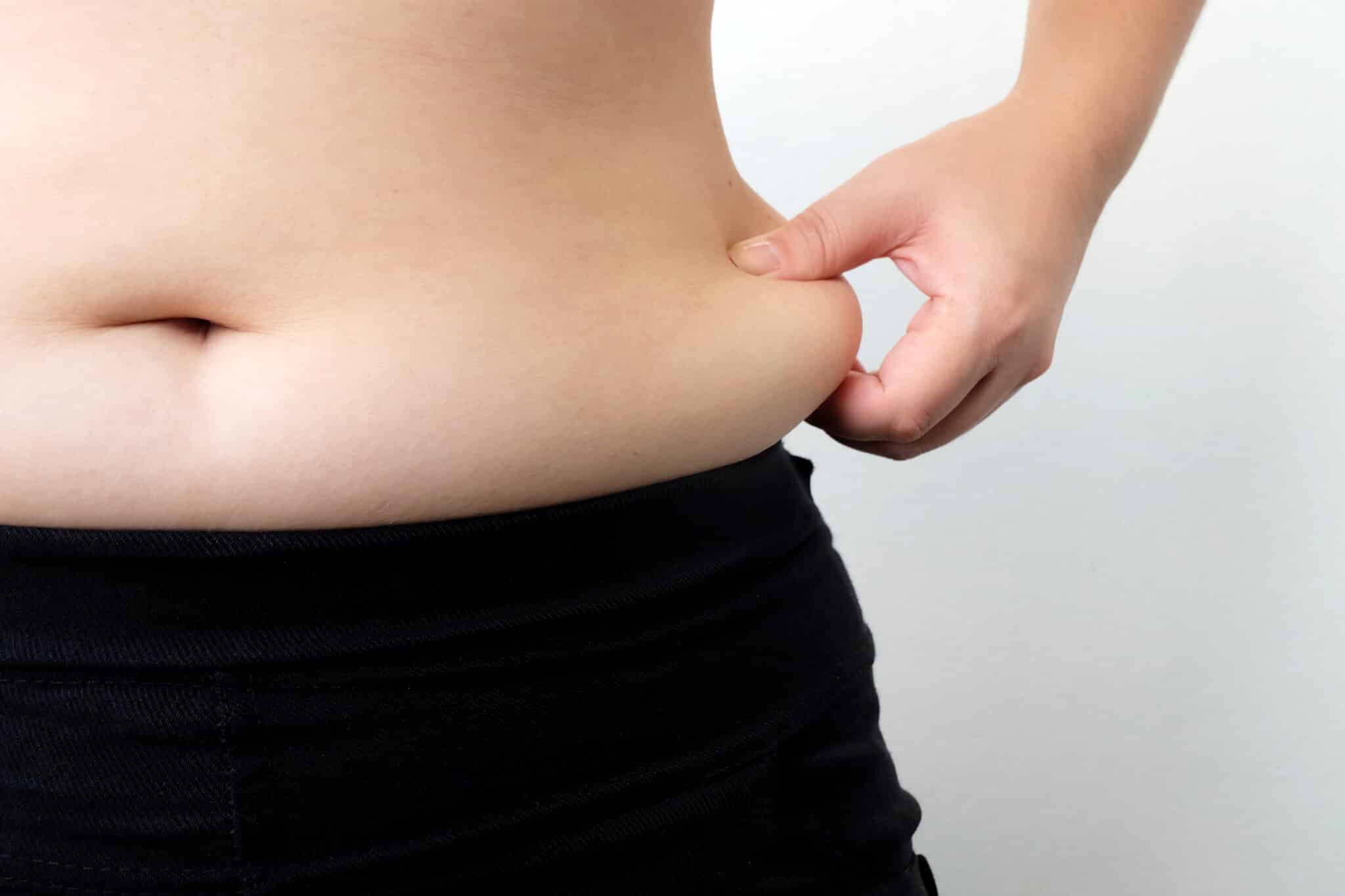 The Truth About Love Handles: Why You Still Have Them and the Steps to ...