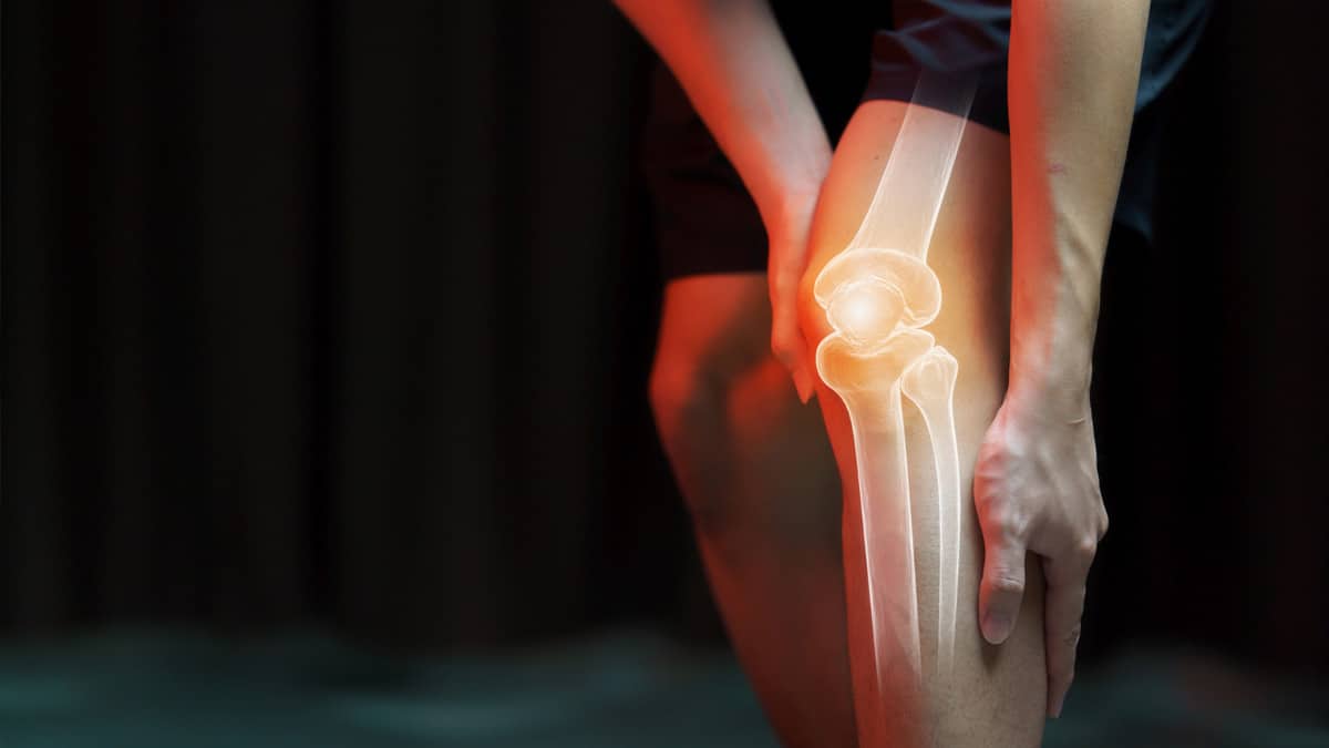 Bryan Johnson Has Denser Bones Than 99% of People His Age — Here’s His ...