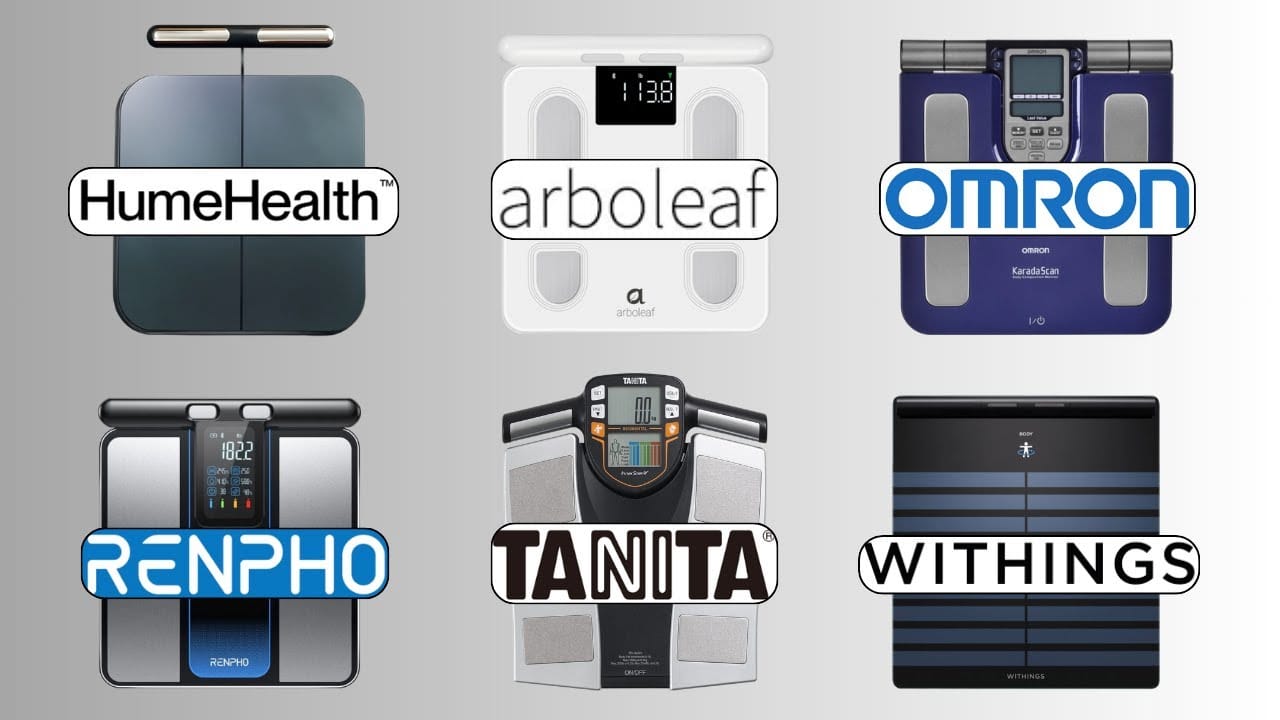 I Spent 12 Weeks Testing 6 Popular Body Fat Scales Against a DEXA Scan ...