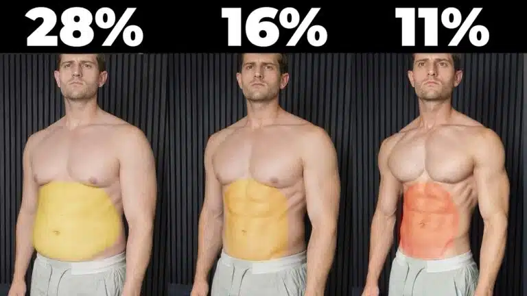 I Went From 20% to 6% Body Fat. The Timeline Was Nothing Like What ...